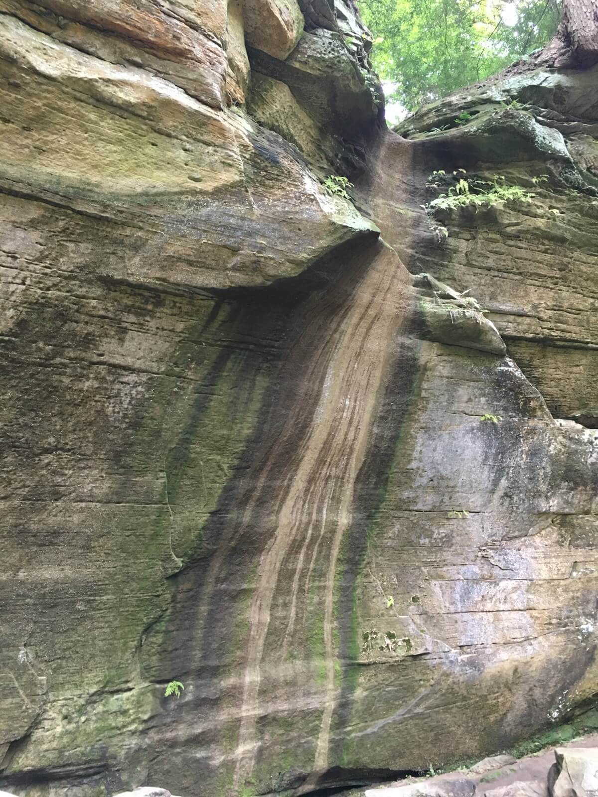 A Visit to Turkey Run State Park
